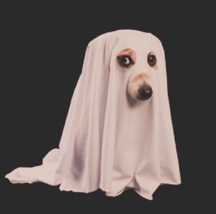 THE ALF HOUSE - Updated August 2025 - 1342 E Georgia Street, Vancouver ...