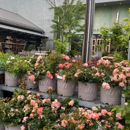 TERRAIN CAFE - DEVON - Updated June 2025 - 599 Photos & 279 Reviews ...