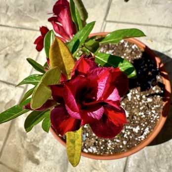 ISAAC FARMS - Updated March 2025 - 455 Photos & 112 Reviews - 18800 SW ...