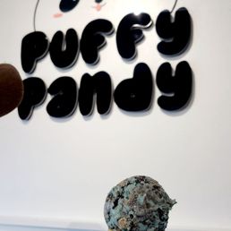 PUFFY PANDY - Updated June 2025 - 554 Photos & 147 Reviews - 9828 16th ...