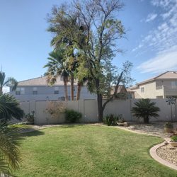 TREE PROS - 42 Photos & 205 Reviews - 2836 W Durango St, Phoenix ...