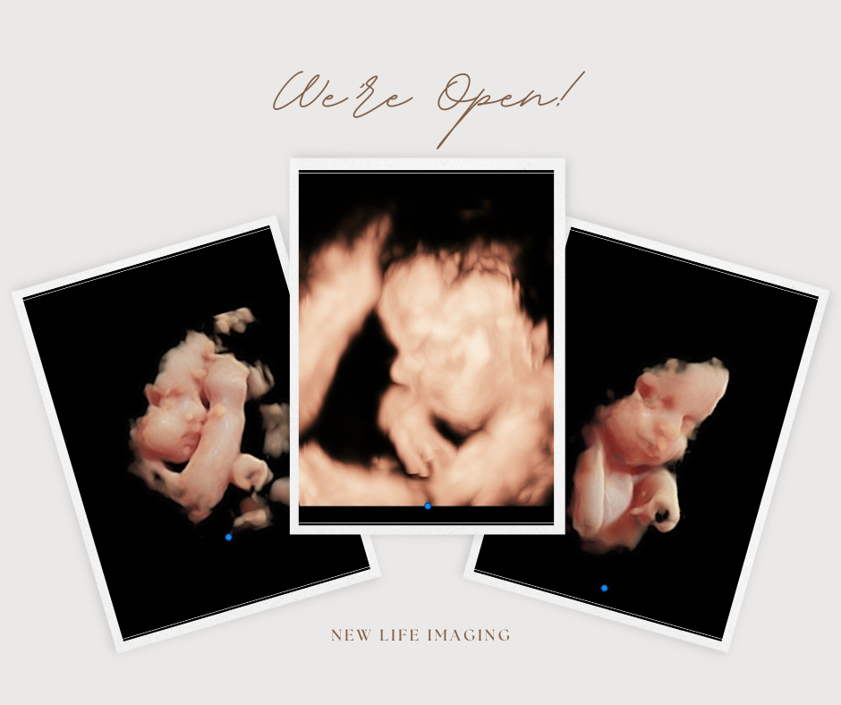 NEW LIFE IMAGING - Updated April 2025 - 11 Photos - Clarksville ...