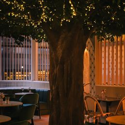 CÉLINE - Updated January 2026 - 15 Photos - 1224 Walnut St ...