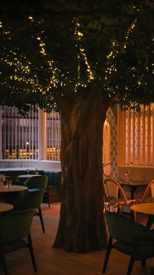 CÉLINE - Updated January 2026 - 15 Photos - 1224 Walnut St ...