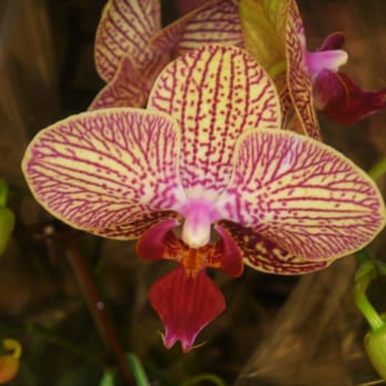 WALMART - Updated December 2025 - 85 Photos & 40 Reviews - 1900 ...