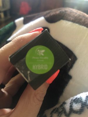 BEYOND HELLO - Updated October 2025 - 12 Photos - 3812 Nazareth Rd ...