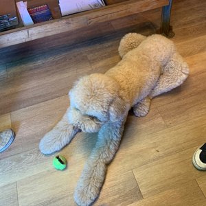 RED RIFLE - 111 Photos & 232 Reviews - Guns & Ammo - 1505 E Del Amo ...