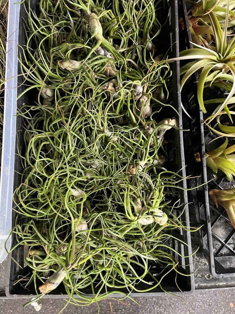 GROWER’S OUTLET - Updated December 2025 - 70 Photos & 103 Reviews - 159 ...