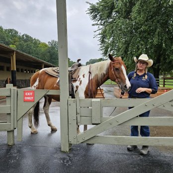 ROCKING HORSE RANCH - Updated July 2024 - 410 Photos & 187 Reviews ...