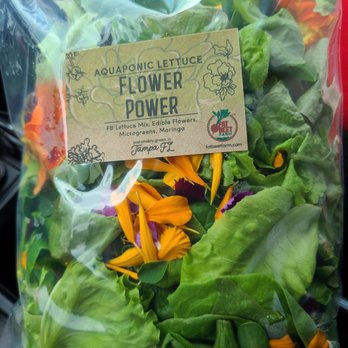 FAT BEET FARM - Updated September 2024 - 236 Photos & 121 Reviews ...