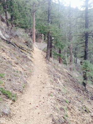 HEIZER TRAIL - Updated August 2025 - Cascade, Colorado - Hiking - Yelp