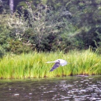 LOOMIS LAKE BOAT LAUNCH AND STATE PARK - Updated August 2025 - 10 ...