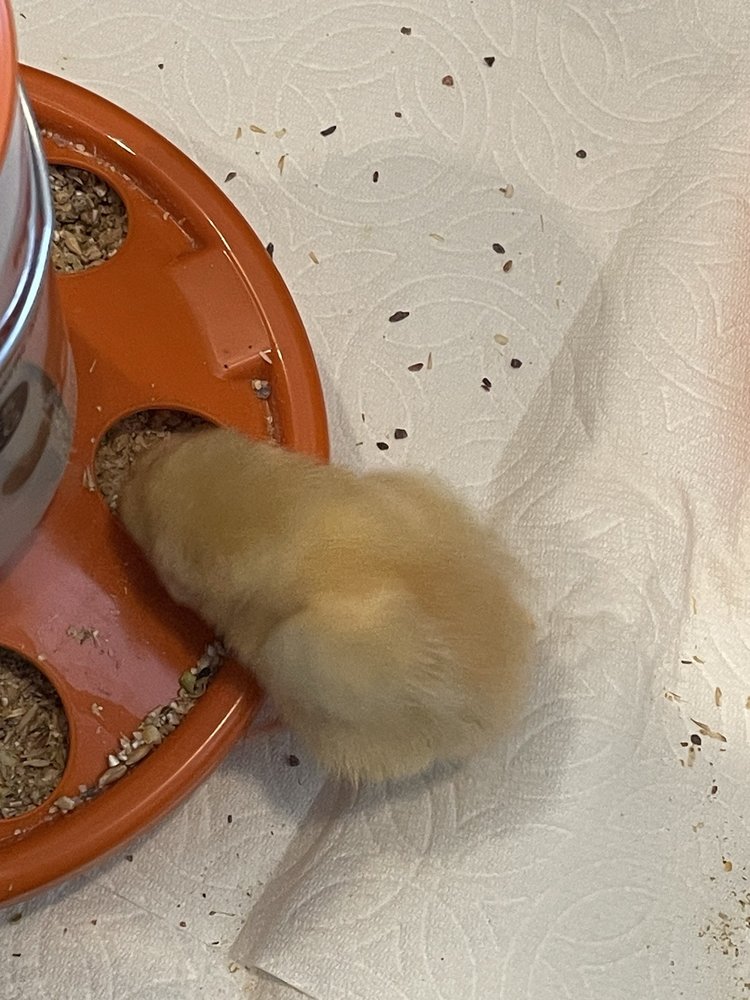 BASIN FEED & SUPPLY - Updated October 2025 - 1331 E Nelson Rd, Moses ...