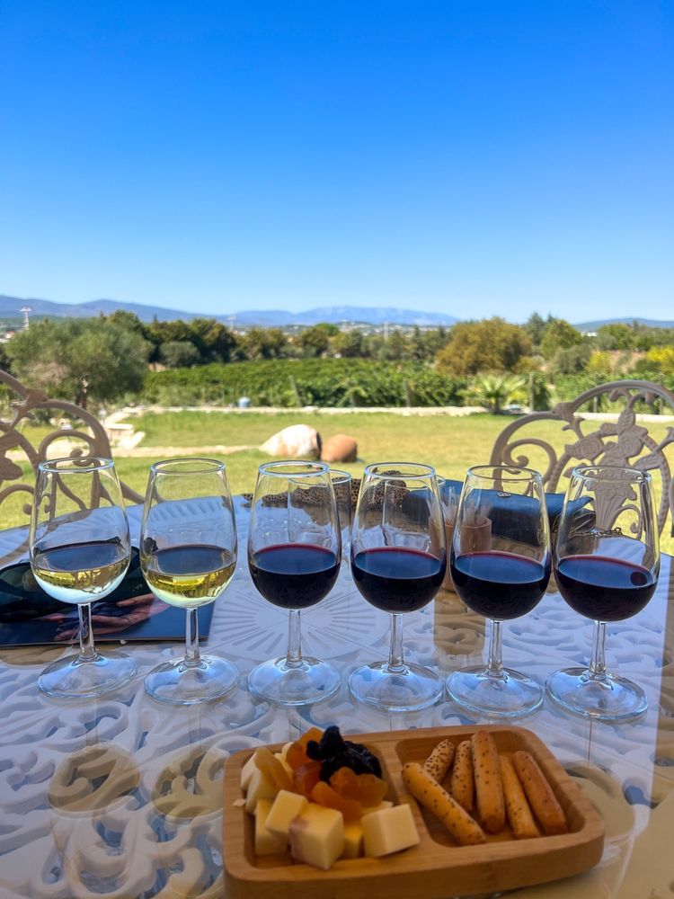 USCA WINES - 19 Photos - 8033. Sk. 1, Aosb, Turkey - Wineries - Phone ...