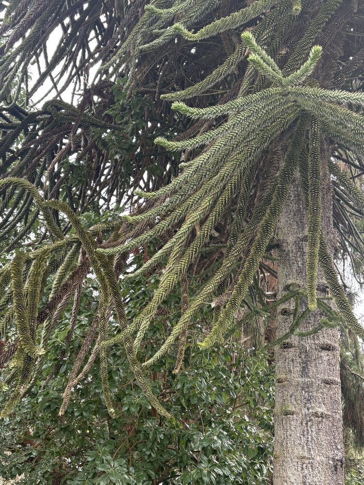 MORITANI PRESERVE - Updated March 2026 - 221 Winslow Way W, Bainbridge ...