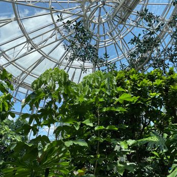 COCKRELL BUTTERFLY CENTER - Updated November 2024 - 551 Photos & 143 ...