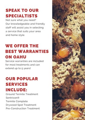 KILAUEA PEST CONTROL - Updated January 2026 - 120 Photos & 629 Reviews ...