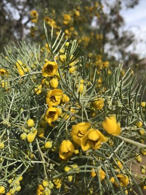 UCR BOTANIC GARDENS - Updated March 2025 - 643 Photos & 128 Reviews - 1 ...