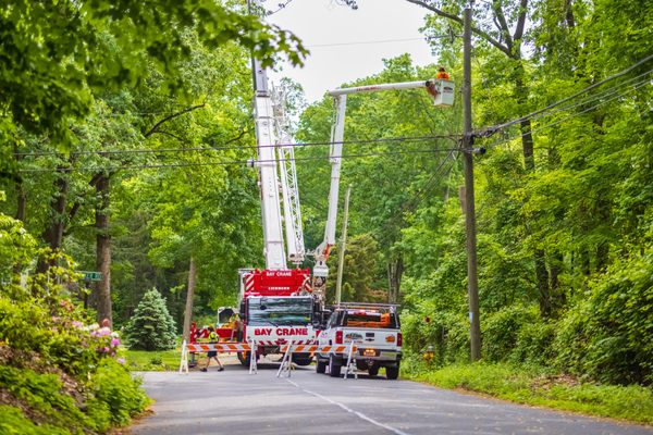 K&J TREE SERVICE - Updated July 2025 - 61 Photos & 35 Reviews - 2 ...