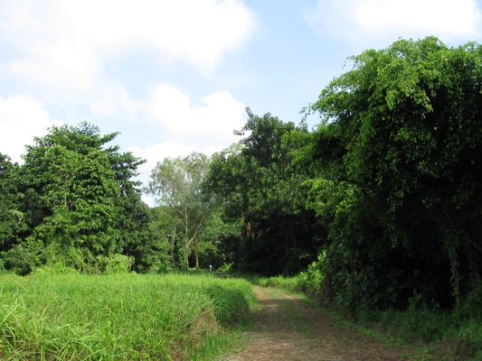 KRANJI NATURE TRAIL - Updated February 2025 - Kranji Way, Singapore ...