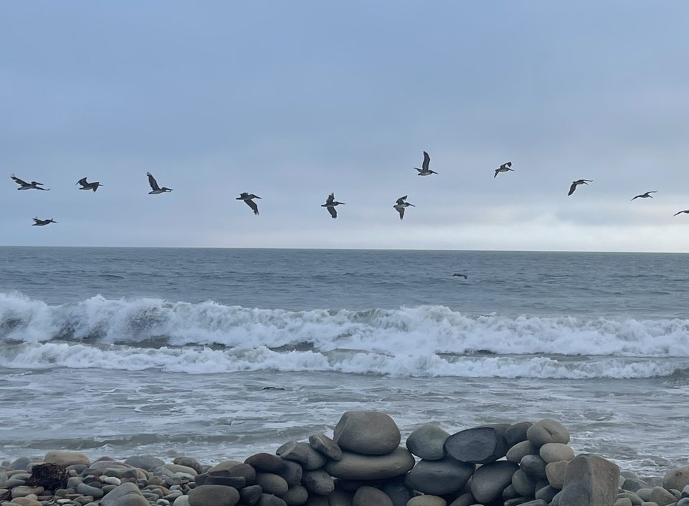 MILESTONES RANCH - Updated November 2025 - 11 Photos & 12 Reviews - 327 ...