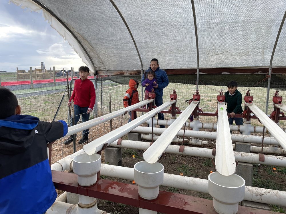 FRENCH PRAIRIE GARDENS - 61 Photos & 51 Reviews - 17673 French Prairie ...