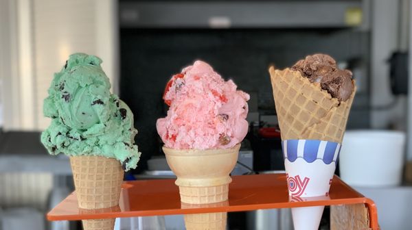 SHAKE SHOPPE - Updated October 2025 - 81 Photos & 31 Reviews - 383 ...