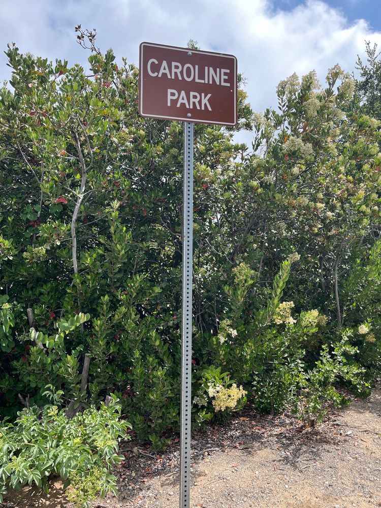 CAROLINE PARK - 320 Poppy St, Redlands, California - 48 Photos & 23 ...