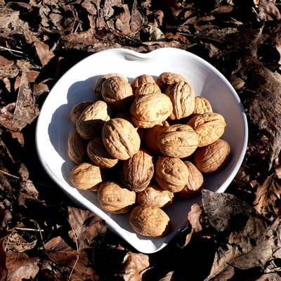 STEPHEN PEARCE POTTERY - Updated December 2025 - 23 Photos - Shanagarry ...