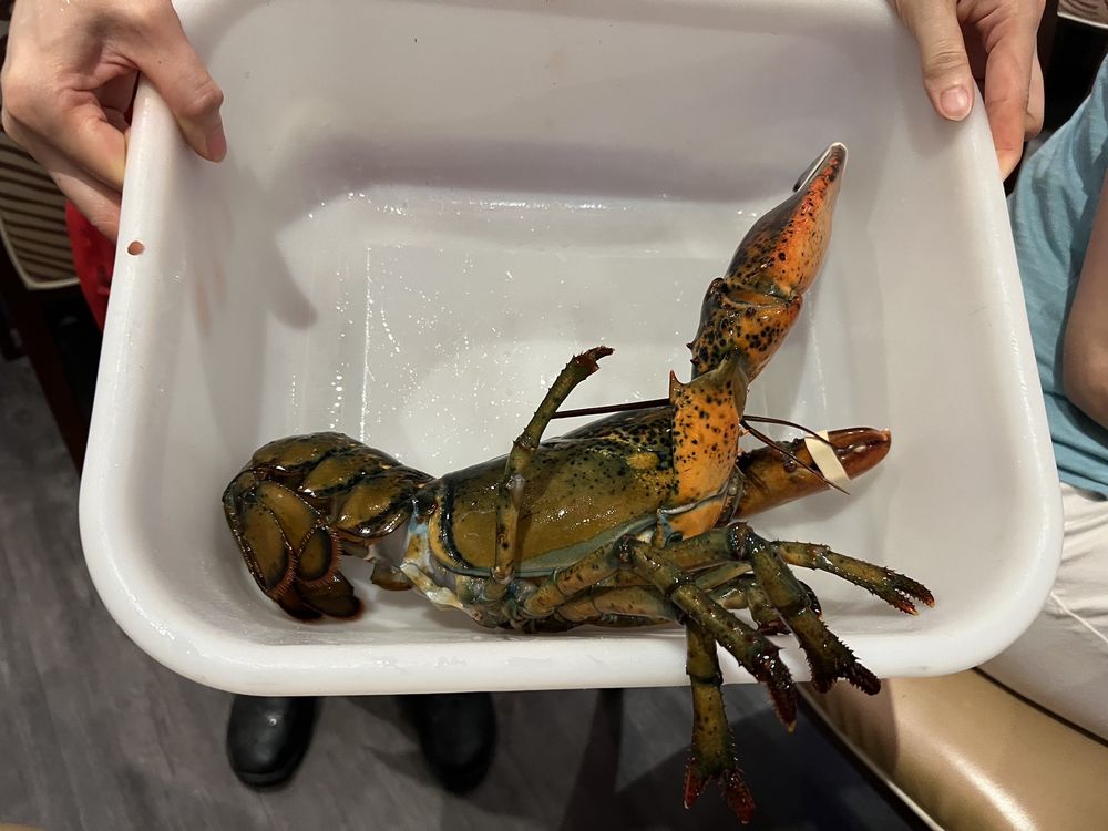 MING YAN SEAFOOD RESTAURANT - Updated December 2025 - 48 Photos & 33 ...