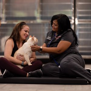 AUSTIN VETERINARY EMERGENCY AND SPECIALTY - Updated October 2024 - 86 ...