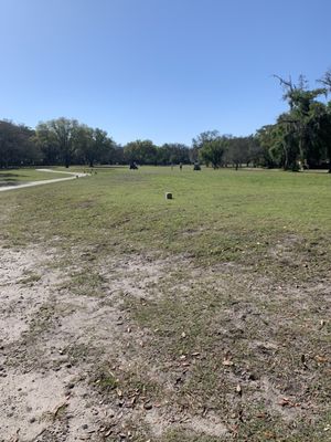 TEMPLE TERRACE GOLF & COUNTRY CLUB - Updated March 2025 - 28 Photos ...