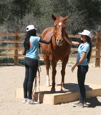 HORSE OF THE SUN RANCH - Updated September 2025 - 11 Photos - 28271 Old ...