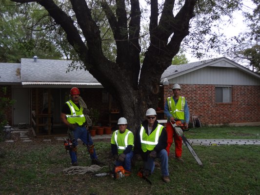 THE REAL STUMP BUSTERS TREE SERVICE - Updated October 2025 - 25 Photos ...