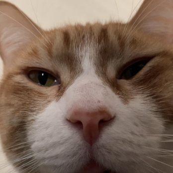 KINGS DRIVE IN - Updated August 2025 - 27 Photos & 45 Reviews - 1008 ...