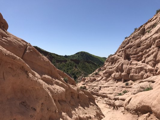 WHITING RANCH WILDERNESS PARK - Updated September 2024 - 66 Photos & 14 ...