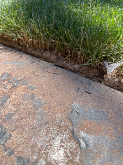 JOHNNY’S LANDSCAPING - Updated May 2026 - 825 Harrington Pl SE, Renton ...