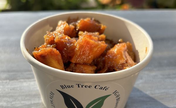 BLUE TREE CAFE - Updated October 2025 - 31 Photos & 12 Reviews - 612 NW ...