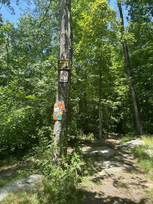 DIANA’S POOL - Updated June 2025 - 82 Photos - Diana's Pool Rd, Chaplin ...
