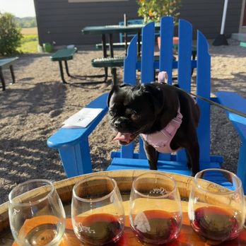 ARROWHEAD SPRING VINEYARDS - Updated December 2025 - 200 Photos & 66 ...