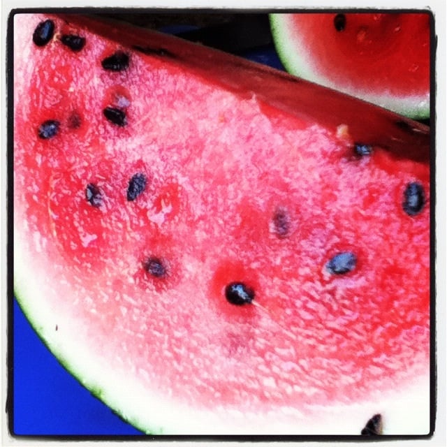 PICADILLY FARM - Updated December 2025 - 264 S Parrish Rd, Winchester ...