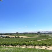 SCRIBE WINERY - 797 Photos & 350 Reviews - 2100 Denmark St, Sonoma, CA ...