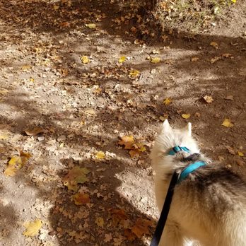 MEMORY GROVE PARK - 170 Photos & 72 Reviews - 300 N Canyon Rd, Salt ...