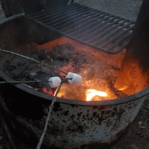 CATTLE CAMP CAMPGROUND - CA-89, McCloud, California - Campgrounds ...