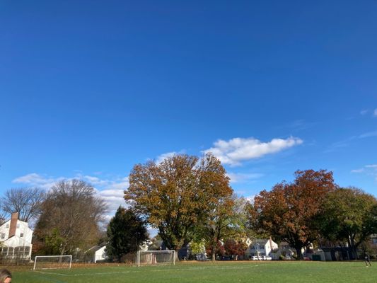 FOREST AVENUE FIELD - Updated October 2025 - 287 Forest Ave, Glen Ridge, New Jersey - Parks - Yelp