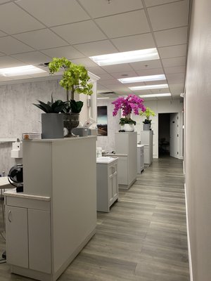 ROSE DENTAL - Updated October 2025 - 5561 Broadcast Ct, Lakewood Ranch ...