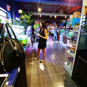 MARKHAM AQUARIUM 2 U - Updated December 2025 - 40 Photos & 10 Reviews ...