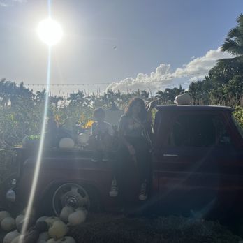 PINTO’S FARM - 455 Photos & 155 Reviews - 14890 SW 216th St, Miami ...