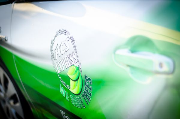 ACS EXPRESS - Updated December 2025 - 4474 97 Street, Edmonton, Alberta ...