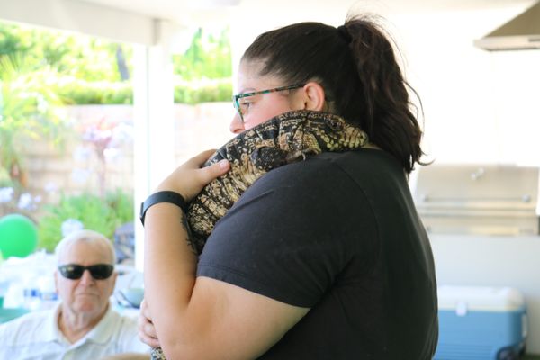 CRITTER SQUAD WILDLIFE DEFENDERS - Updated October 2025 - 166 Photos ...